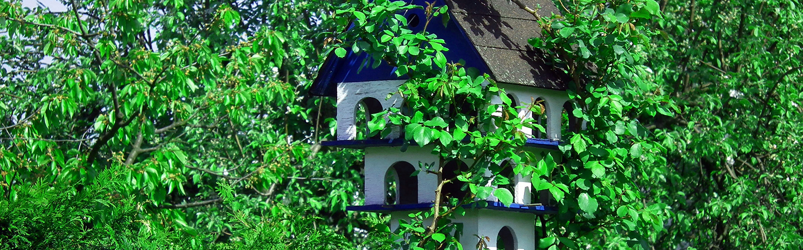 Wat is de Knarrenhof? Knarrenhof is een nieuw concept van samenwonen in ...